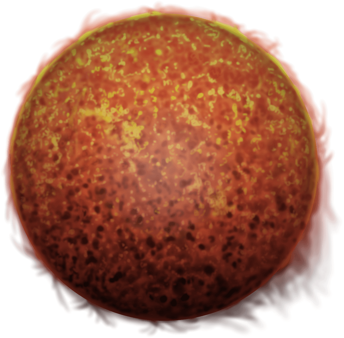 Universcale | Learn & Enjoy Light | Nikon About Us