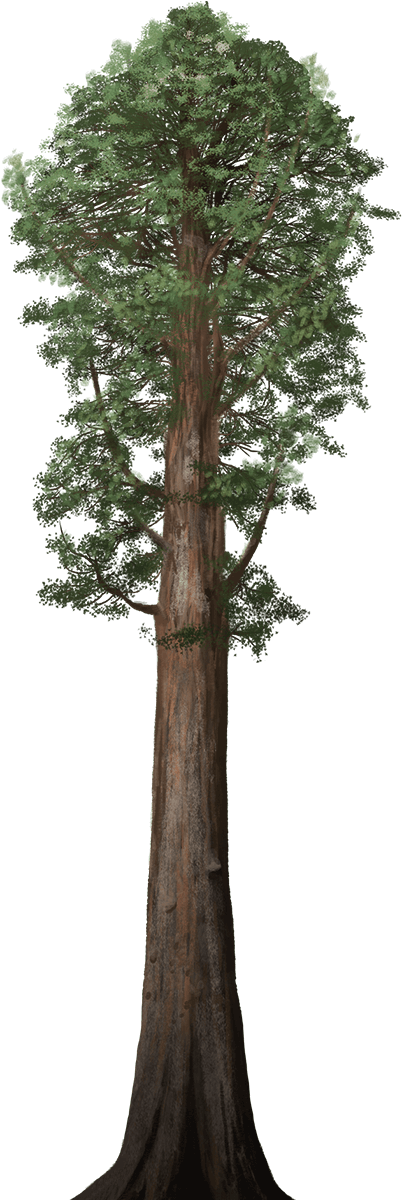 Universcale | Learn & Enjoy Light | Nikon About Us