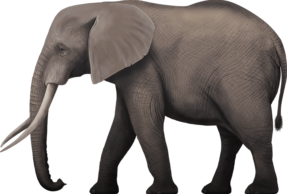 Universcale | Learn & Enjoy Light | Nikon About Us