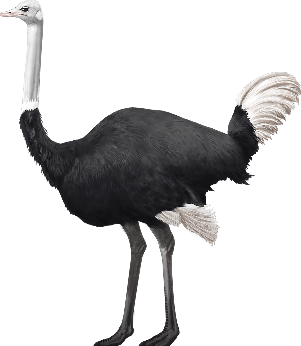 Universcale | Learn & Enjoy Light | Nikon About Us