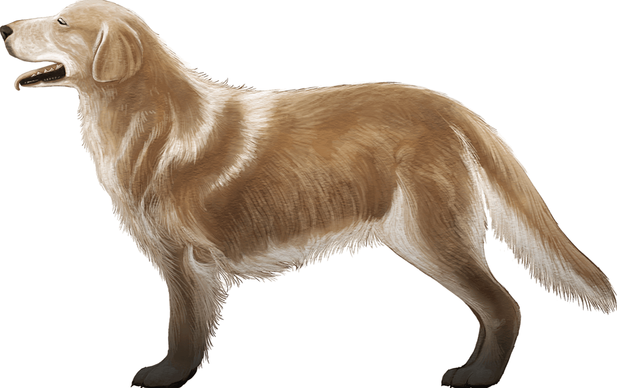 Universcale | Learn & Enjoy Light | Nikon About Us