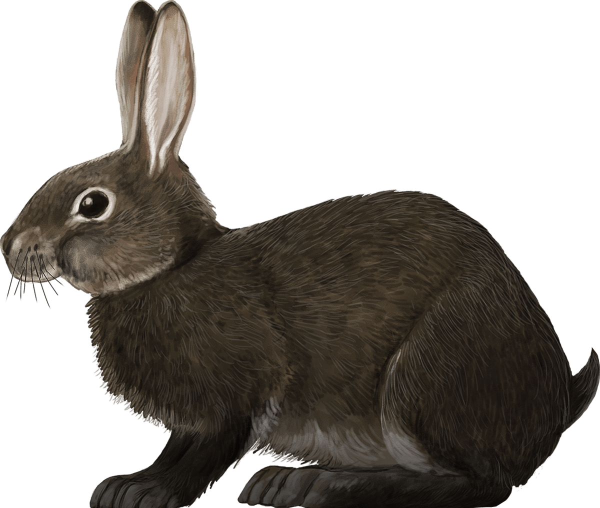 Universcale | Learn & Enjoy Light | Nikon About Us