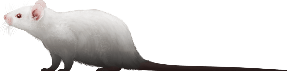 Universcale | Learn & Enjoy Light | Nikon About Us