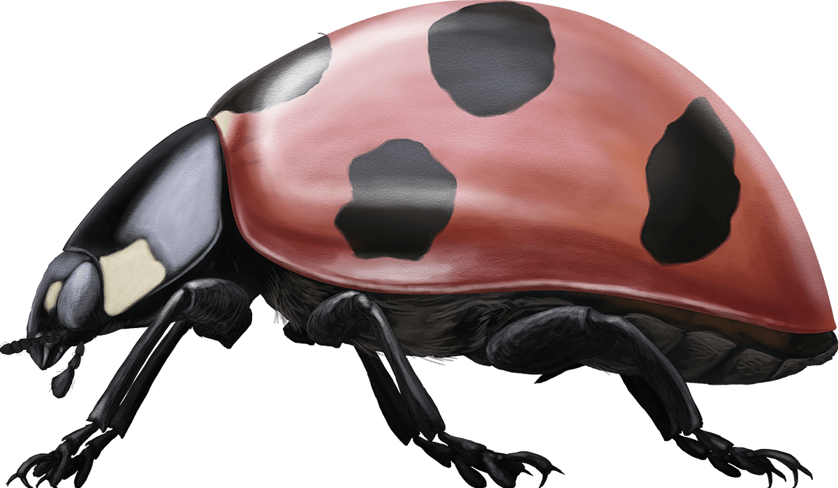 Universcale | Learn & Enjoy Light | Nikon About Us