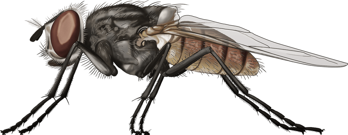 Universcale | Learn & Enjoy Light | Nikon About Us