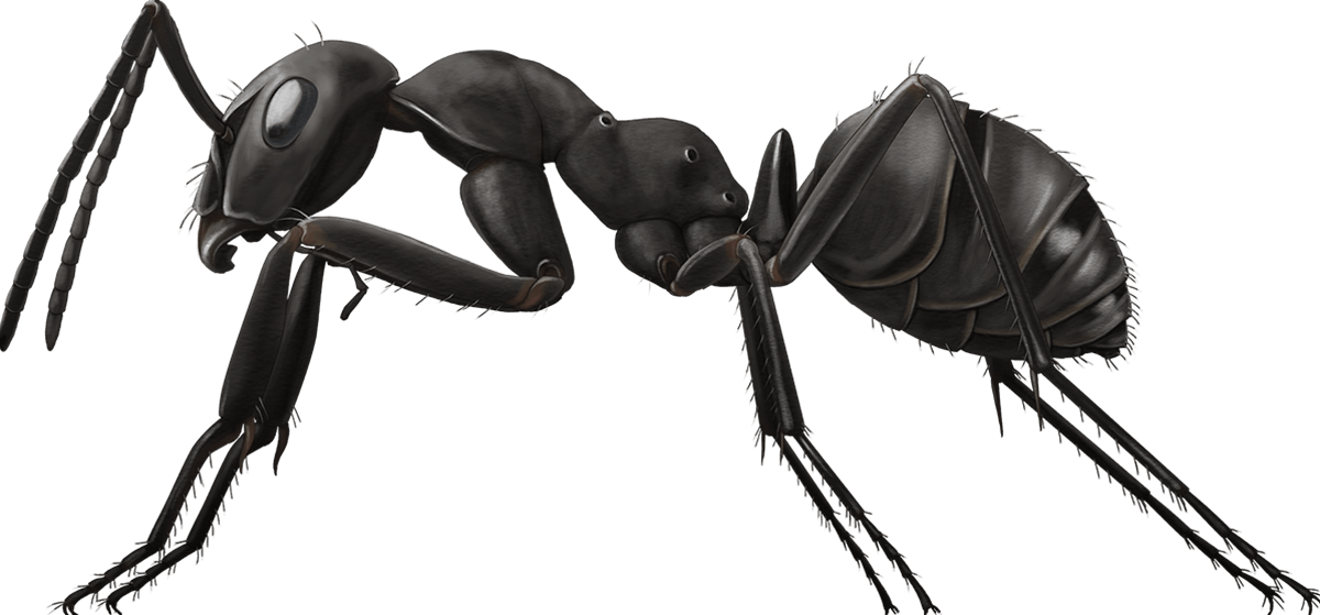 Universcale | Learn & Enjoy Light | Nikon About Us