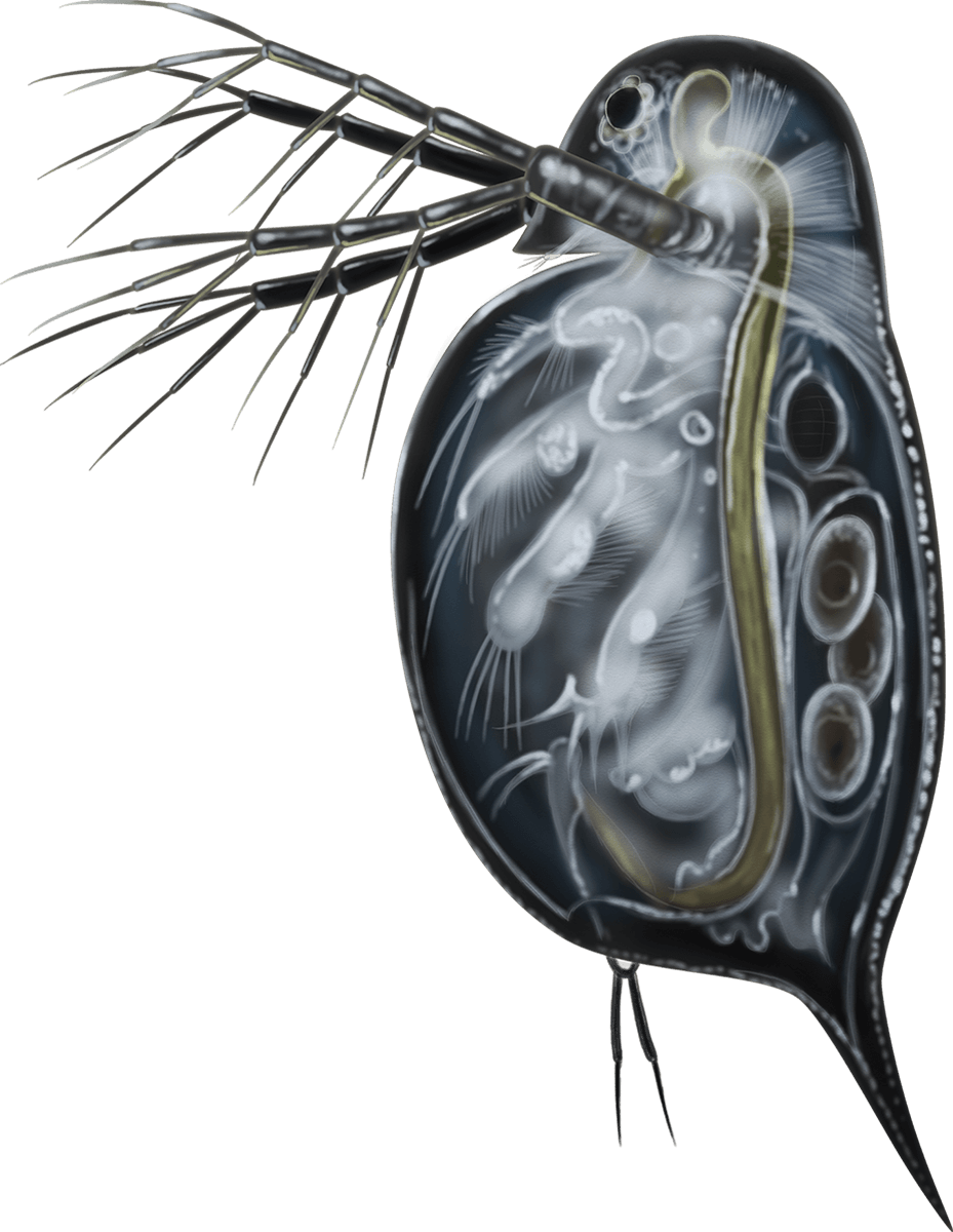 Universcale | Learn & Enjoy Light | Nikon About Us