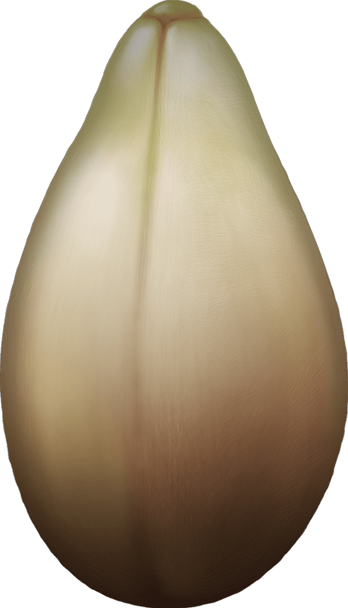 Universcale | Learn & Enjoy Light | Nikon About Us