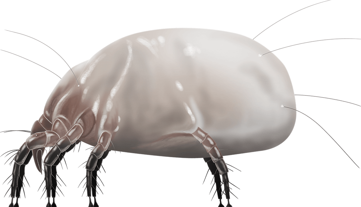 Universcale | Learn & Enjoy Light | Nikon About Us