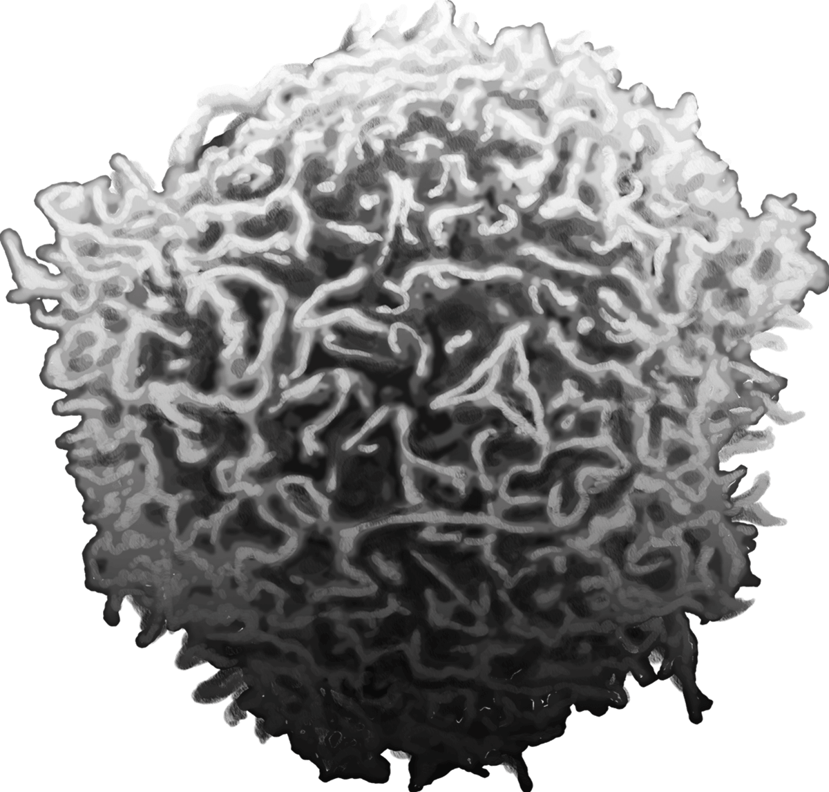 Universcale | Learn & Enjoy Light | Nikon About Us