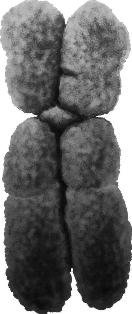 Universcale | Learn & Enjoy Light | Nikon About Us