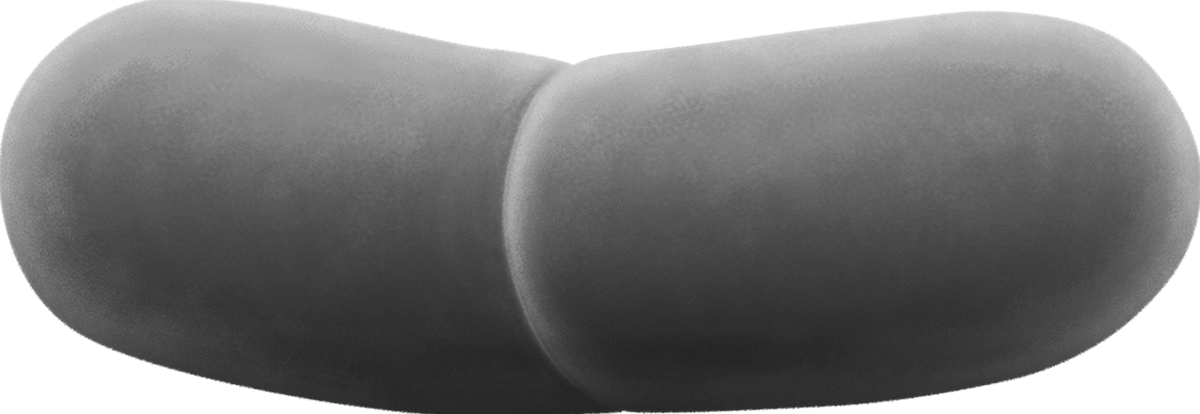 Universcale | Learn & Enjoy Light | Nikon About Us