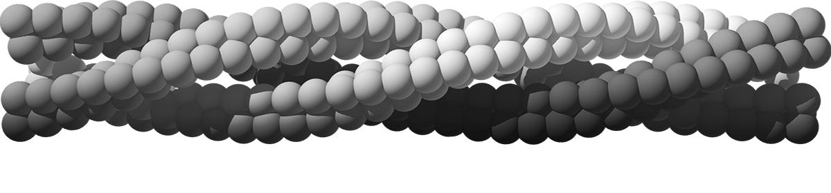 Universcale | Learn & Enjoy Light | Nikon About Us