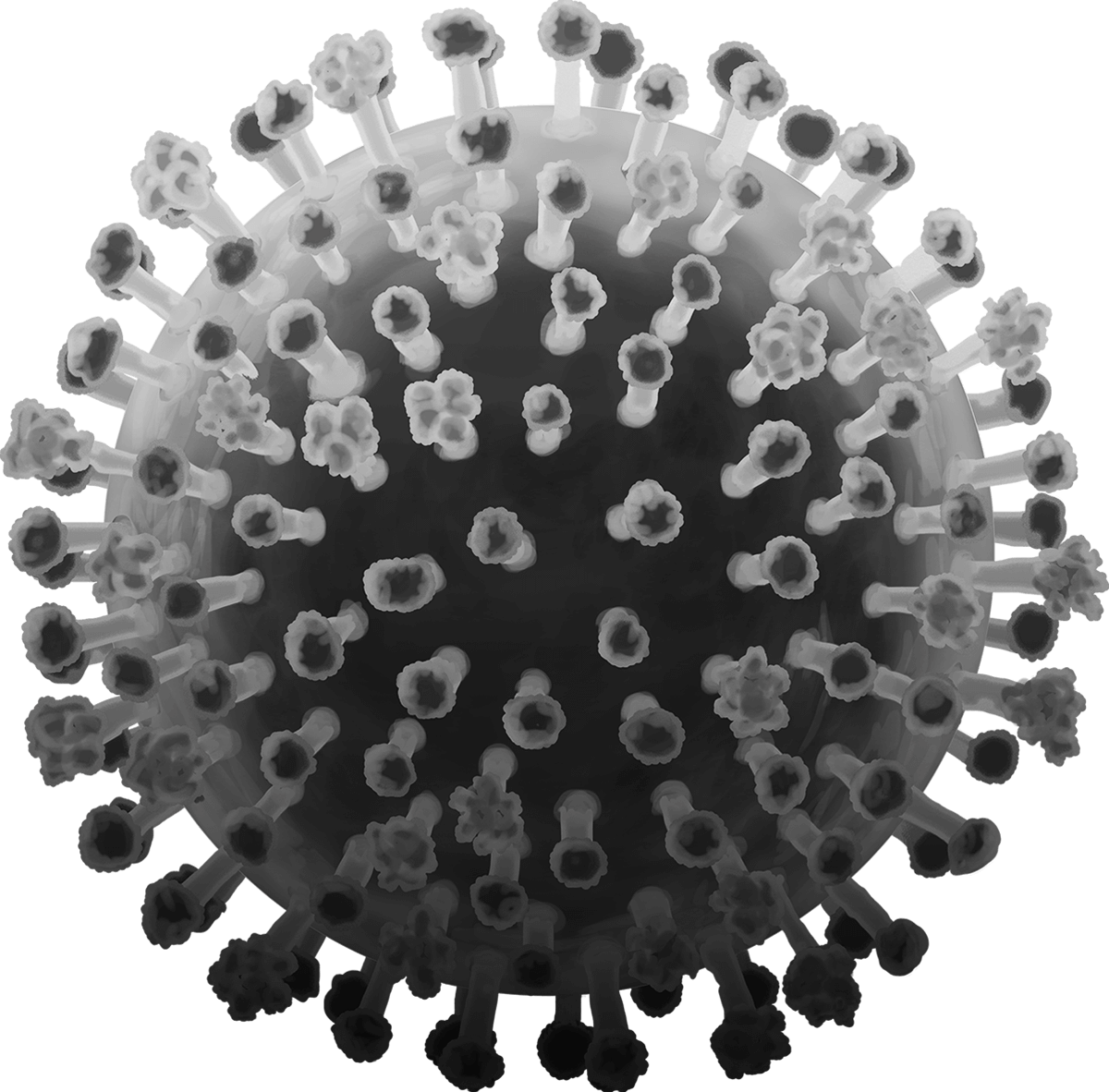 Universcale | Learn & Enjoy Light | Nikon About Us