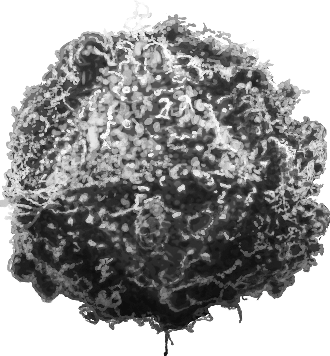 Universcale | Learn & Enjoy Light | Nikon About Us