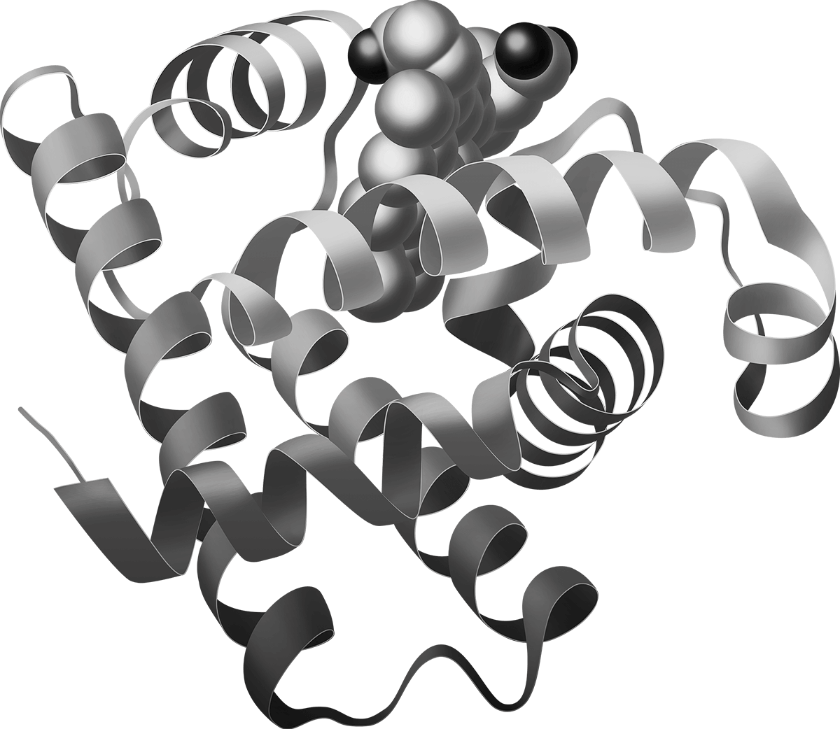 Universcale | Learn & Enjoy Light | Nikon About Us