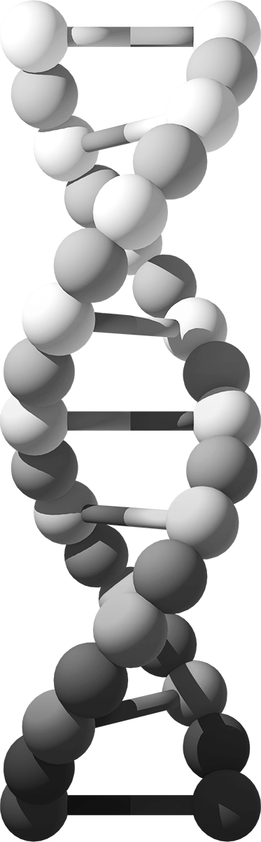 Universcale | Learn & Enjoy Light | Nikon About Us