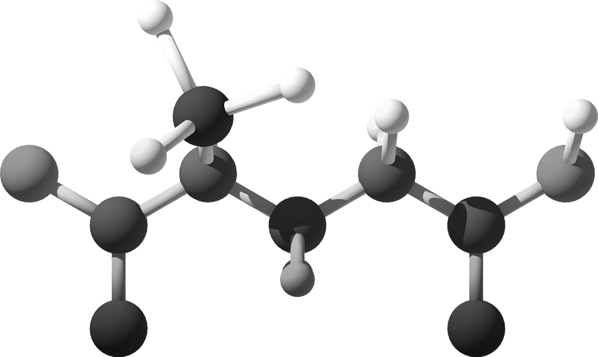 Universcale | Learn & Enjoy Light | Nikon About Us